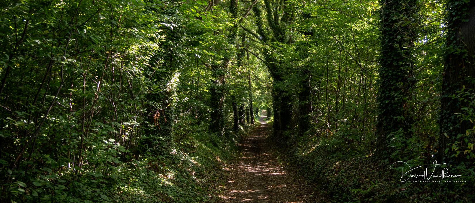 Wandelen langs de mooiste hoekjes van Binkom | Pasar